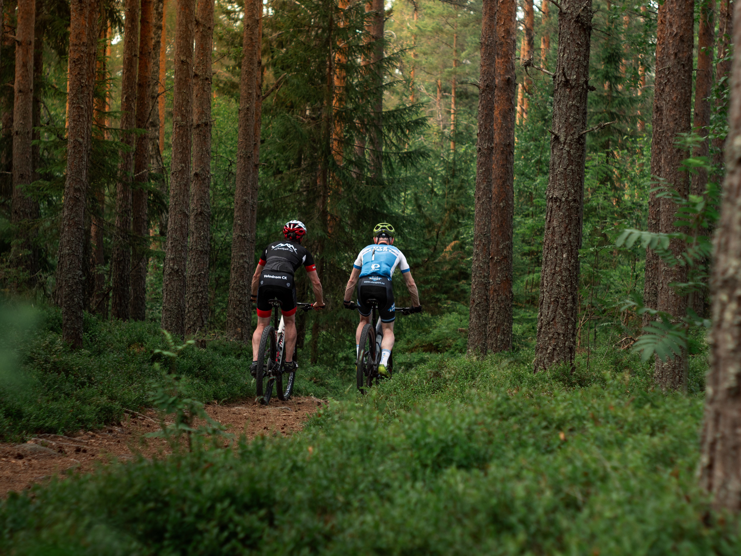 Biking in Vansbro | Visit Dalarna