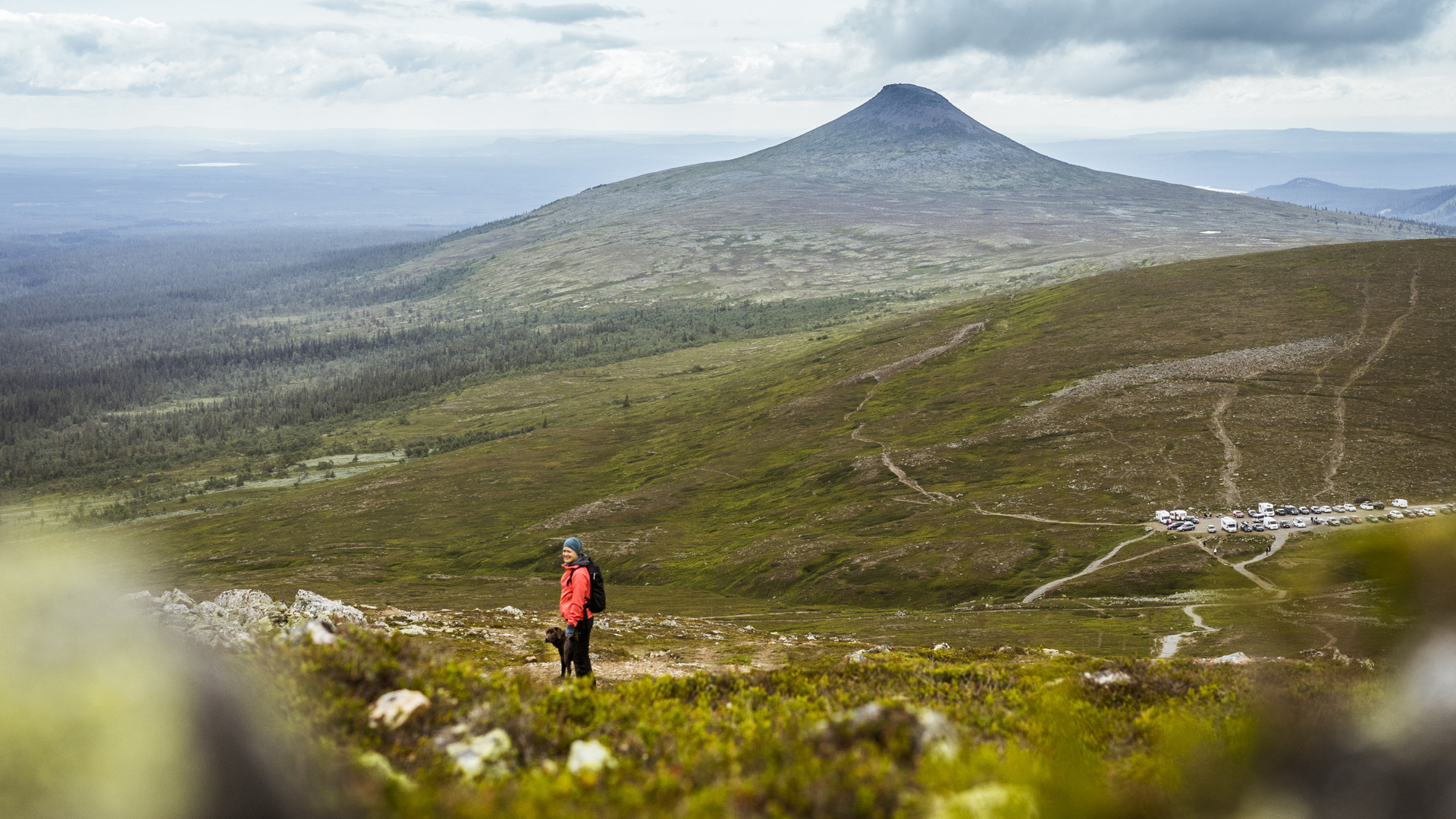 Vandra i fjällen | Visit Dalarna