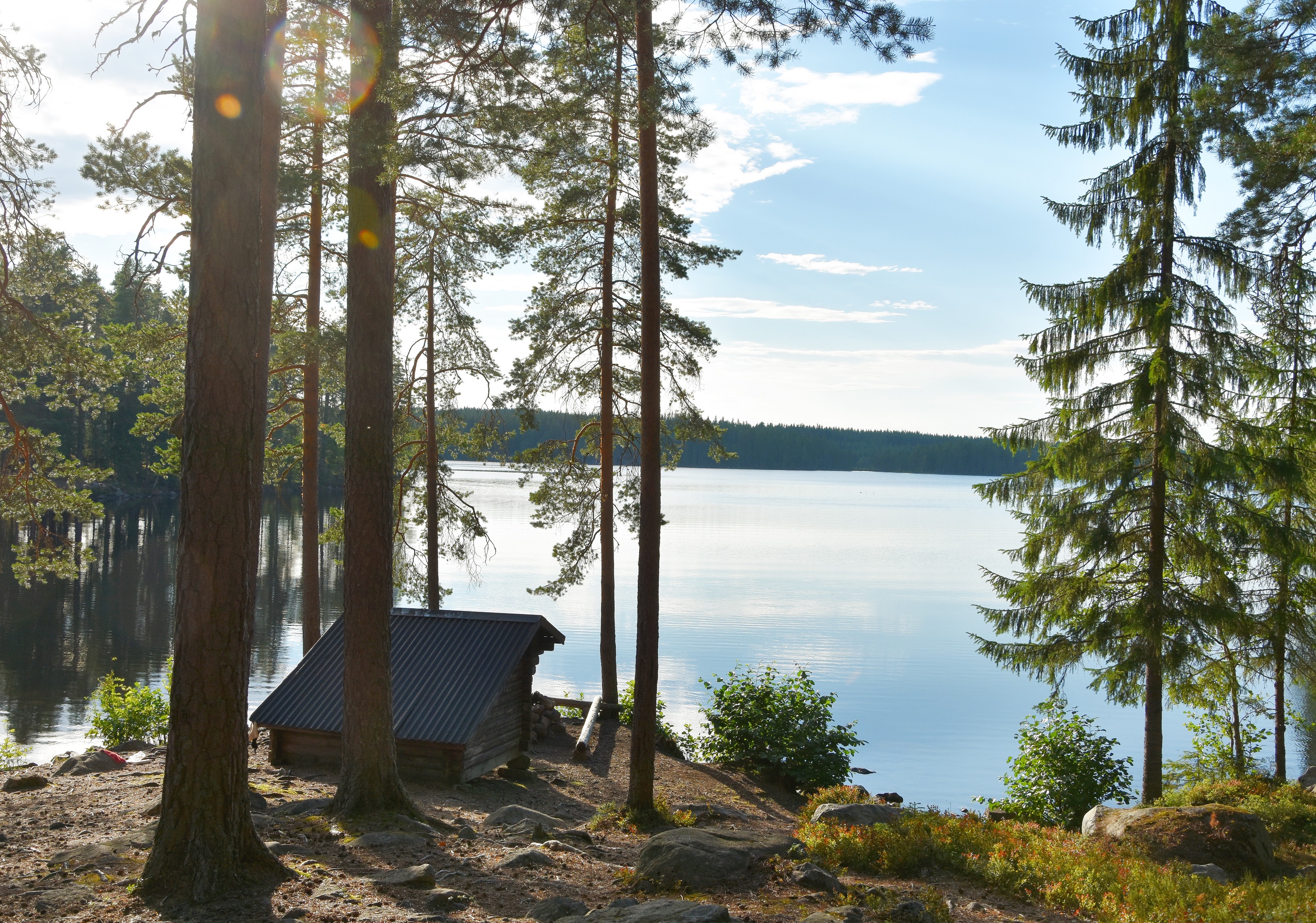 Vild och vacker vandring i Malingsbo-Kloten | Visit Dalarna