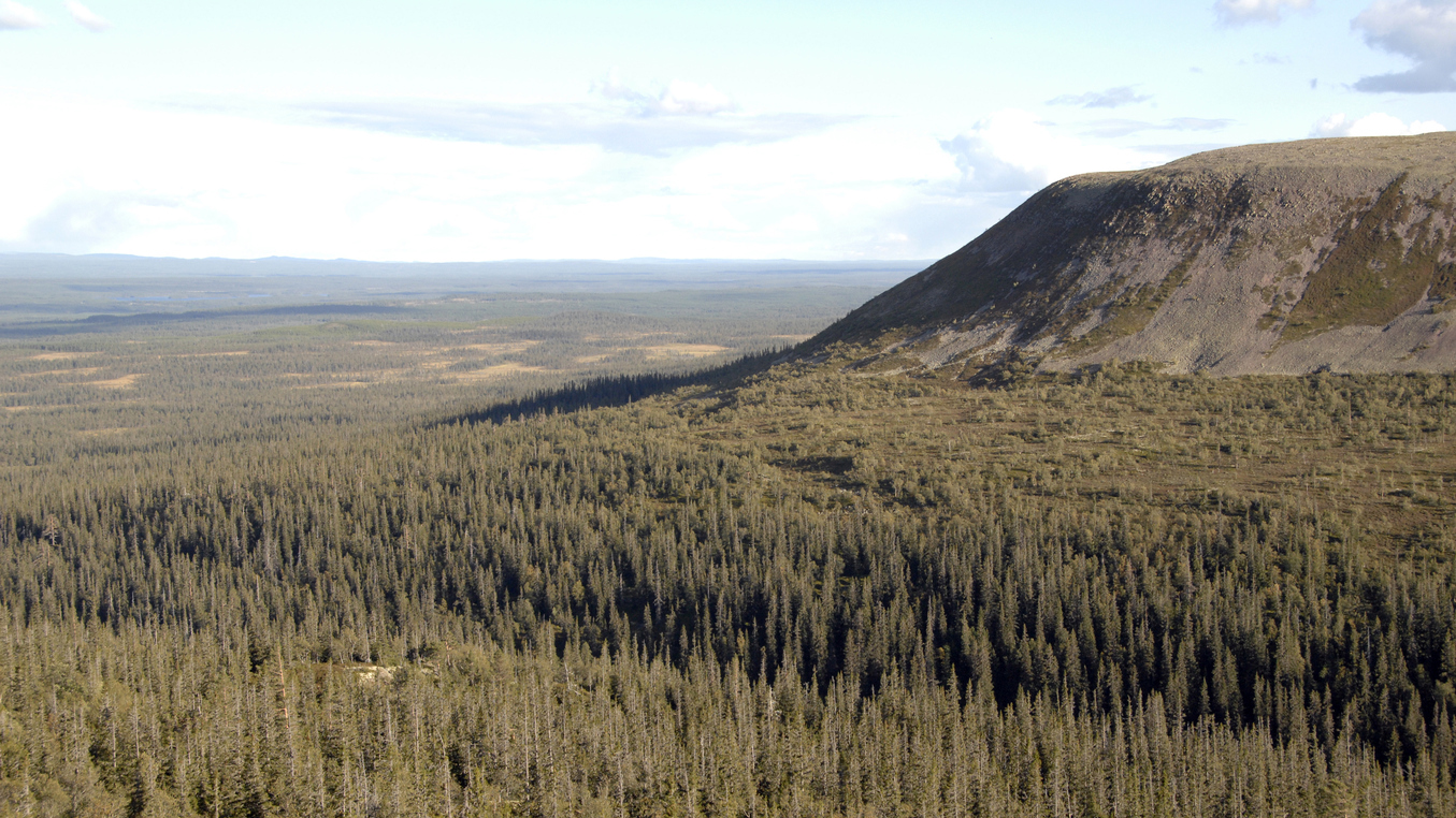 Fjällsommar på Fulufjället för både dagsturare och äventyrare | Visit ...