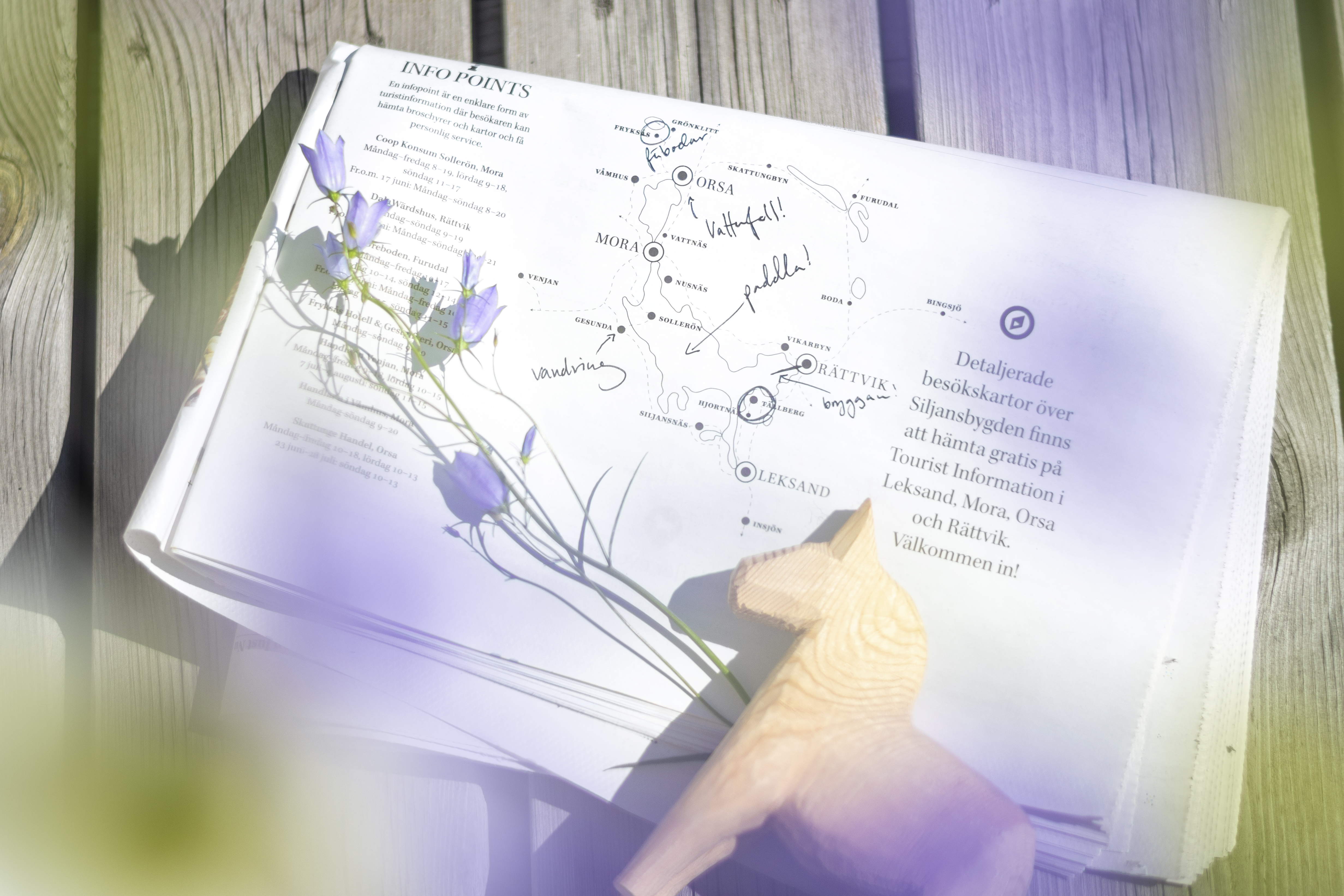 Siljans bucketlist – 15 tips på saker att göra i sommar | Visit Dalarna