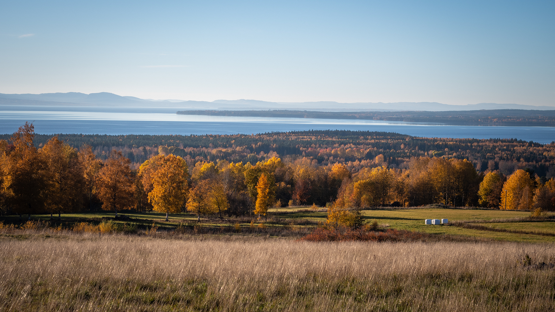 Visit Dalarna | Din officiella guide till Dalarna