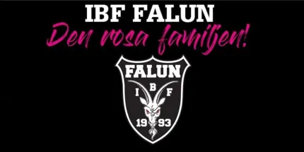 Innebandy IBF Falun - Linköping IBK | Visit Dalarna