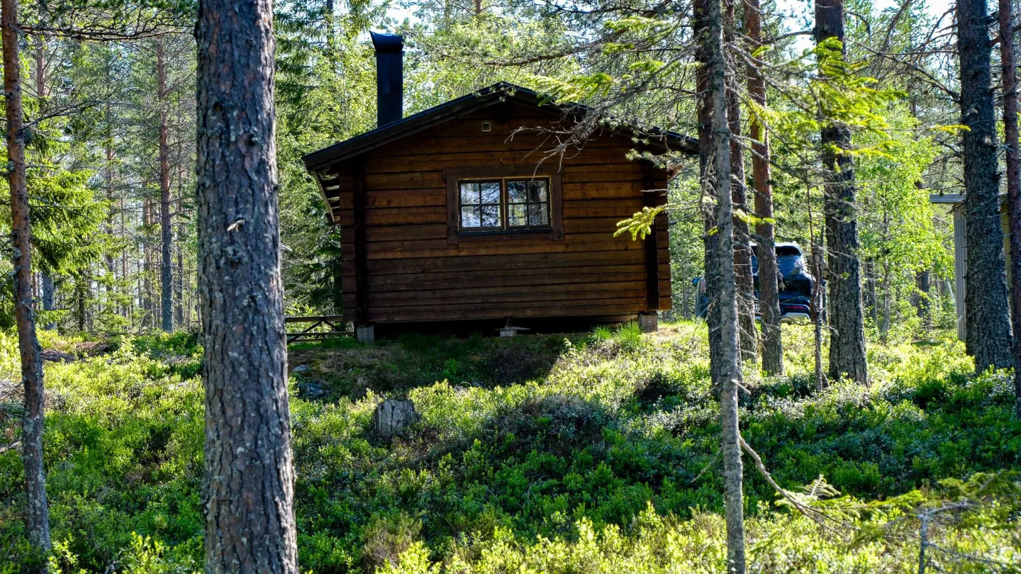 Orsa Besparingskog | Visit Dalarna