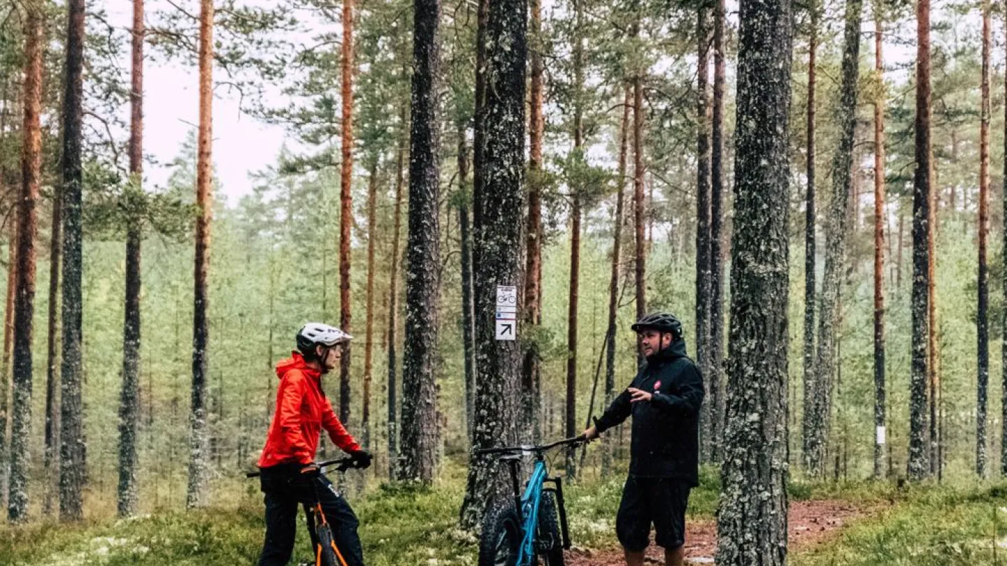 Storstein XC 3 km | Visit Dalarna