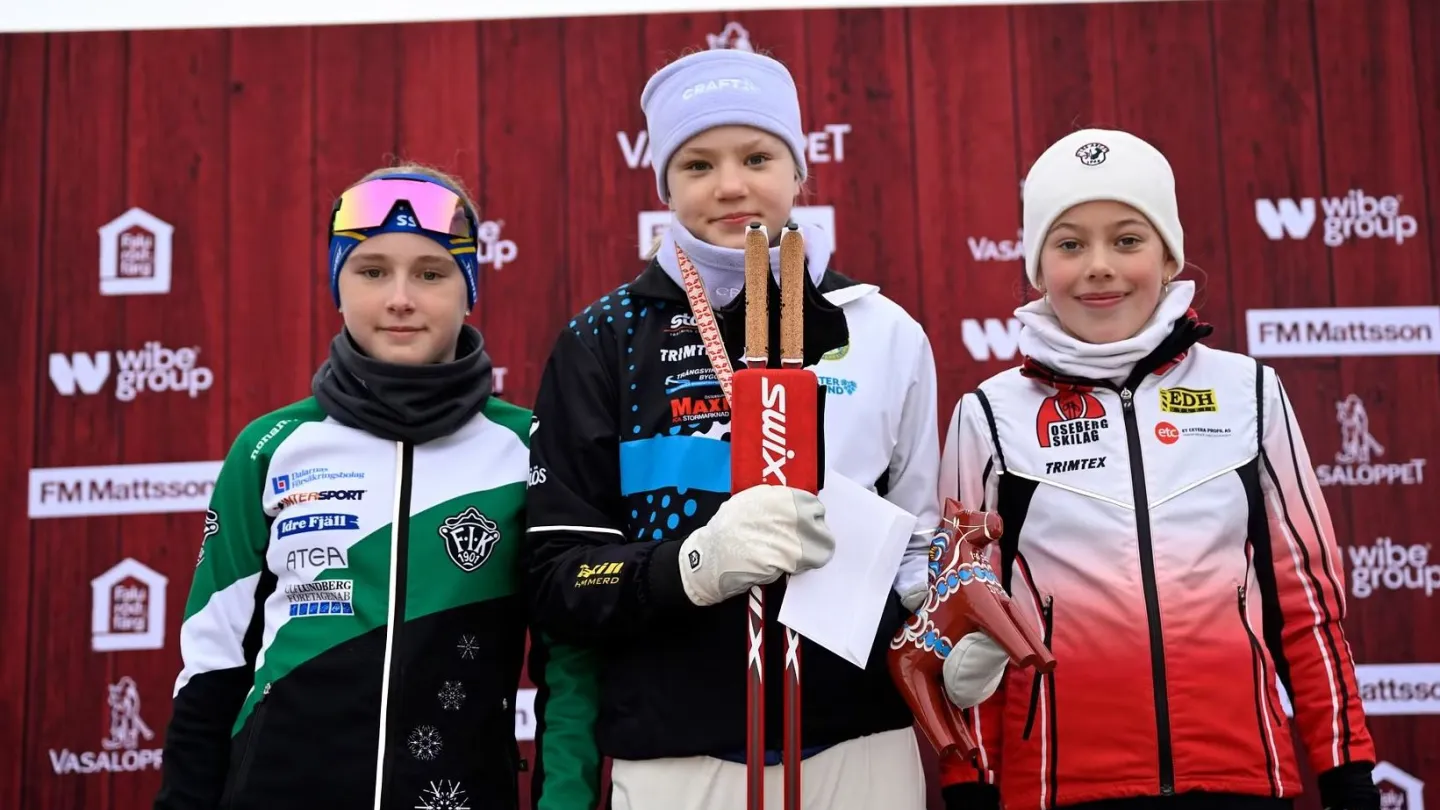 Ungdomsvasan | Visit Dalarna