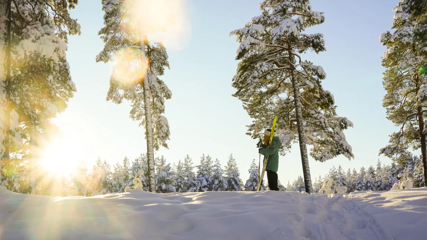 Welcome to Mora | Visit Dalarna